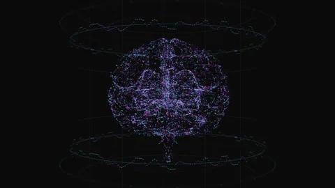 Digital Brain spinning around in 3d | Stock Video | Pond5