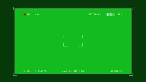 Digital Camera Screen Stock Footage ~ Royalty Free Stock Videos | Pond5