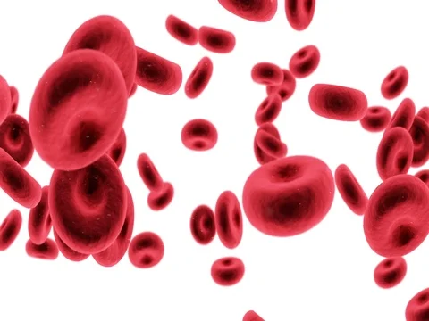 Digital generated red blood cells agains... | Stock Video | Pond5