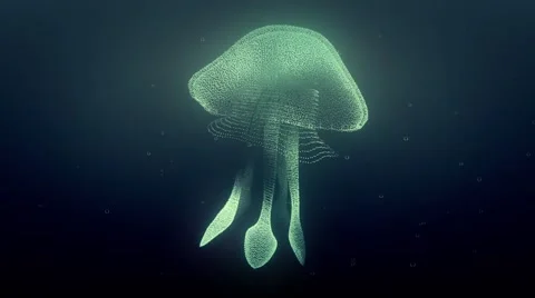 Jelly Stock Footage ~ Royalty Free Stock Videos | Pond5