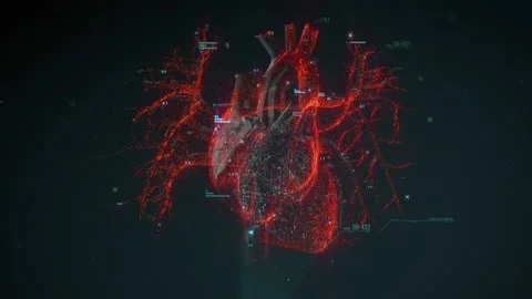 Digital model of the Human heart. Diagno... | Stock Video | Pond5