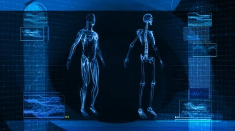 Digital X-Ray Scan Of Human Body (HD) An... | Stock Video | Pond5