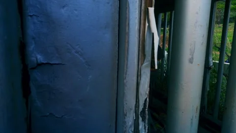 Dino in a cage. Thriller look at velocir... | Stock Video | Pond5