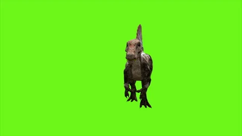 Dinosaur Green Screen Stock Videos – Royalty-Free HD & 4K Videos
