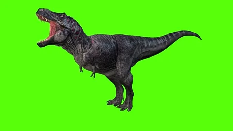 Dinosaur Bite Green Screen Animation and... | Stock Video | Pond5