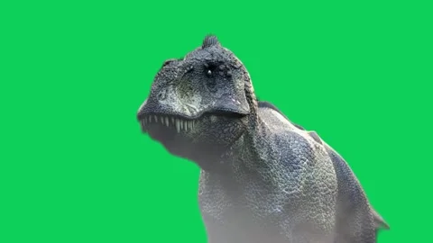 Dinosaur Green Screen Chroma Key | Stock Video | Pond5