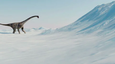 Prehistoric Landscape Stock Footage ~ Royalty Free Stock Videos | Pond5