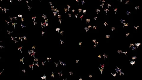 Dinosaur Run Stock Videos – Royalty-Free HD & 4K Videos