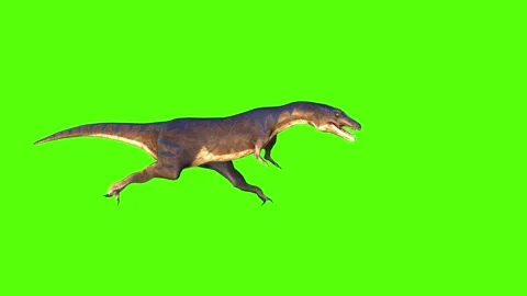 Dinosaur Running Green Screen 3D Animati... | Stock Video | Pond5