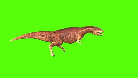 Dinosaurs Green Screen Stock Video Footage | Royalty Free Dinosaurs Green Screen Videos | Page 8