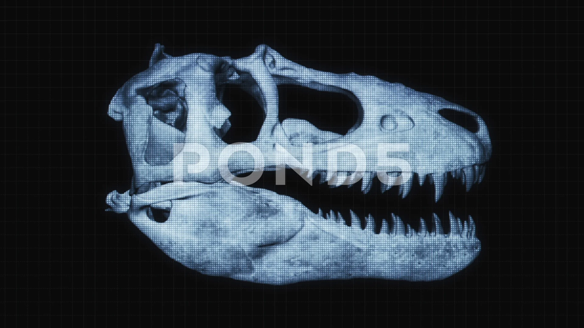 X Ray Of Dinosaur Scientists Use X Rays To Look Inside Fossil Dinosaur