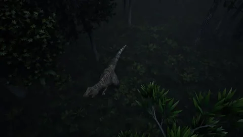 Dinosaur Visuals Stock Videos – Royalty-Free HD & 4K Videos | Pond5