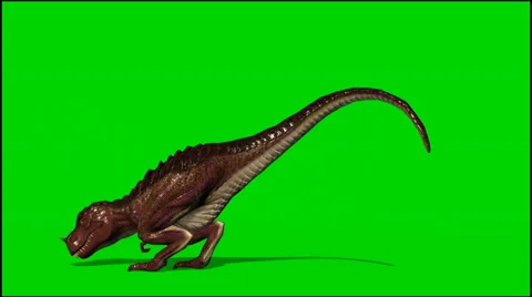 Dinosaur Green Screen Stock Video Footage | Royalty Free Dinosaur Green ...