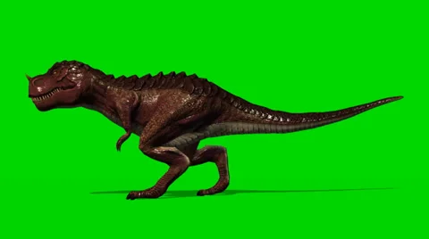 Dinosaur Tyrannosaurus T-Rex walk - isol... | Stock Video | Pond5