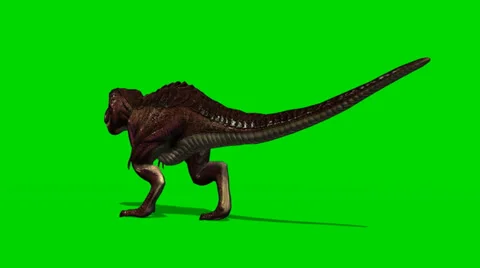 Dinosaur Tyrannosaurus T-Rex walk - isol... | Stock Video | Pond5