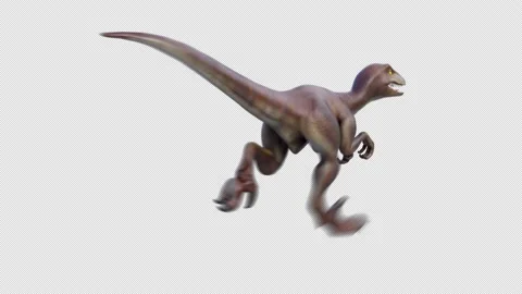 Dinosaur Velociraptor Run Loop Back View... | Stock Video | Pond5