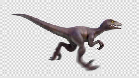 Dinosaur Velociraptor Run Loop Side View... | Stock Video | Pond5