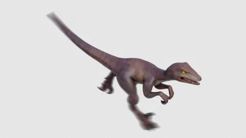 Dinosaur Velociraptor Run Loop Top Front... | Stock Video | Pond5