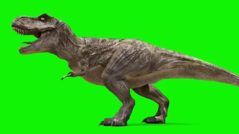 Raptor Green Screen Stock Videos – Royalty-Free HD & 4K Videos | Pond5