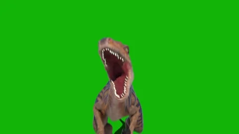 Dinosaur Green Screen Stock Video Footage | Royalty Free Dinosaur Green Screen Videos | Page 6