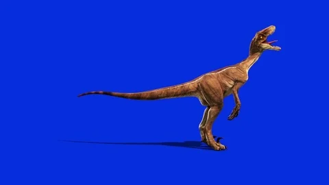 Dinosaurs Velociraptor Roar Side Jurassi... | Stock Video | Pond5