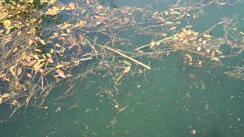 Floating Dirt Stock Footage ~ Royalty Free Stock Videos | Pond5