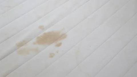 Dirty Mattress Stock Videos – Royalty-Free HD & 4K Videos | Pond5