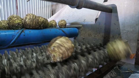 Pro Stream Line Stock Videos – Royalty-Free HD & 4K Videos