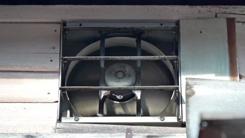 Dirty Fan Stock Video Footage | Royalty Free Dirty Fan Videos | Pond5