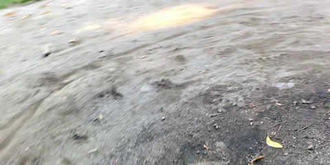 Dirty ground with some dead leaves in se... | Stock Video | Pond5