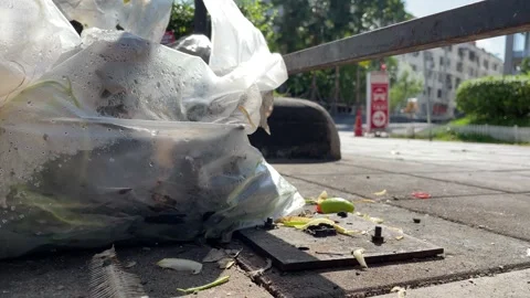 Dirty waste disposable wet plastic bag o... | Stock Video | Pond5