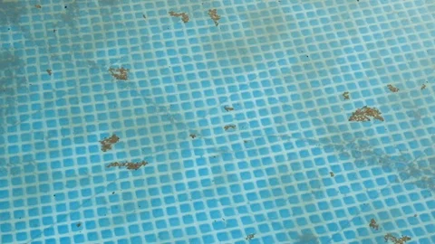 Public Mud Pool Stock Videos – Royalty-Free HD & 4K Videos | Pond5