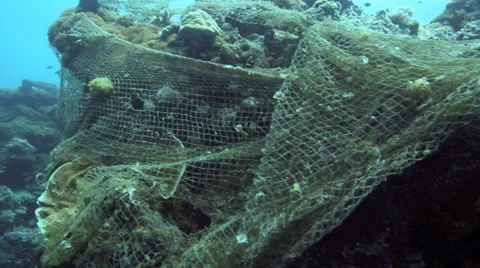 Fishing Underwater Stock Footage ~ Royalty Free Stock Videos | Pond5