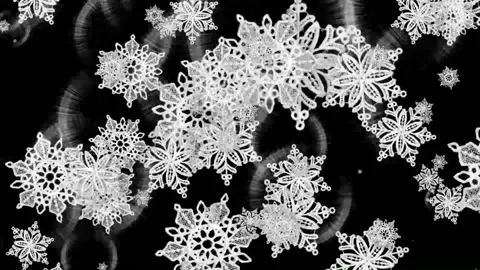 Christmas Today Video Stock Videos – Royalty-Free HD & 4K Videos | Pond5