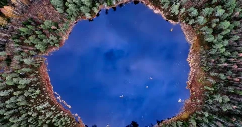 Discovering hidden pond in the finnish f... | Stock Video | Pond5