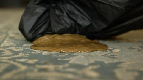 Disgusting chore picking up dog diarrhoe... | Stock Video | Pond5