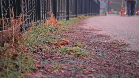 Porop Stock Video Footage | Royalty Free Porop Videos | Pond5