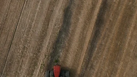 Disking the field. Big red Tractor culti... | Stock Video | Pond5