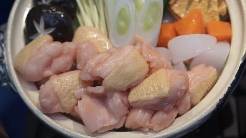 Hot Japanese Model Stock Videos – Royalty-Free HD & 4K Videos