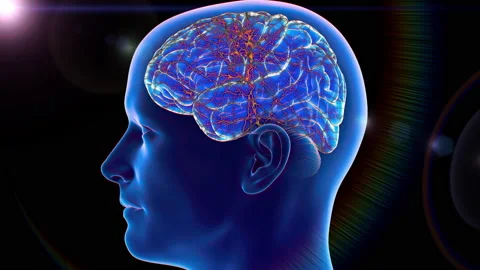 Displaying the continuous brain activity... | Stock Video | Pond5