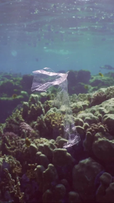 Fish Plastic Bag Stock Videos – Royalty-Free HD & 4K Videos | Pond5