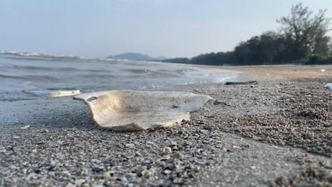 White Coast Waste Stock Videos – Royalty-Free HD & 4K Videos