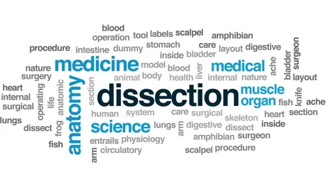 Dissection animated word cloud, text des... | Stock Video | Pond5