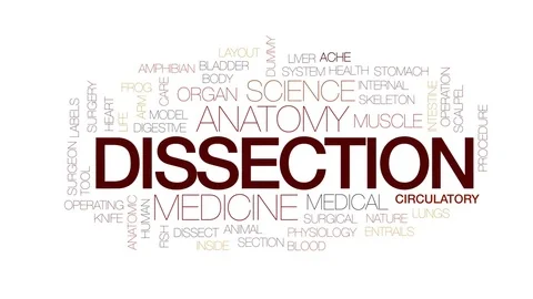 Dissection animated word cloud, text des... | Stock Video | Pond5