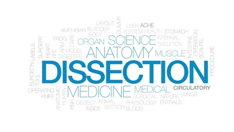 Dissection animated word cloud, text des... | Stock Video | Pond5