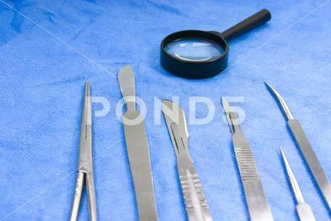 A dissection kit with stainless steel surgical instruments for medical ...