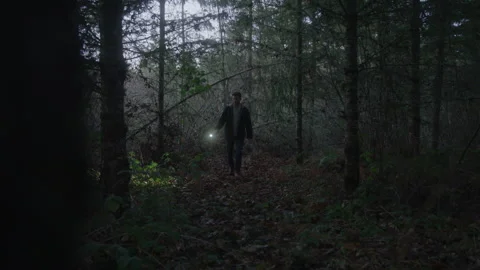 Man In Woods At Night With Flashlight Stock Video Footage | Royalty ...