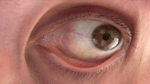 Disturbing Stock Video Footage | Royalty Free Disturbing Videos | Pond5