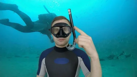 Back Signal Stock Videos – Royalty-Free HD & 4K Videos | Pond5