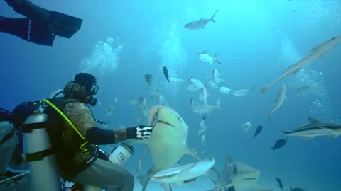 Chainmail Stock Video Footage | Royalty Free Chainmail Videos | Pond5